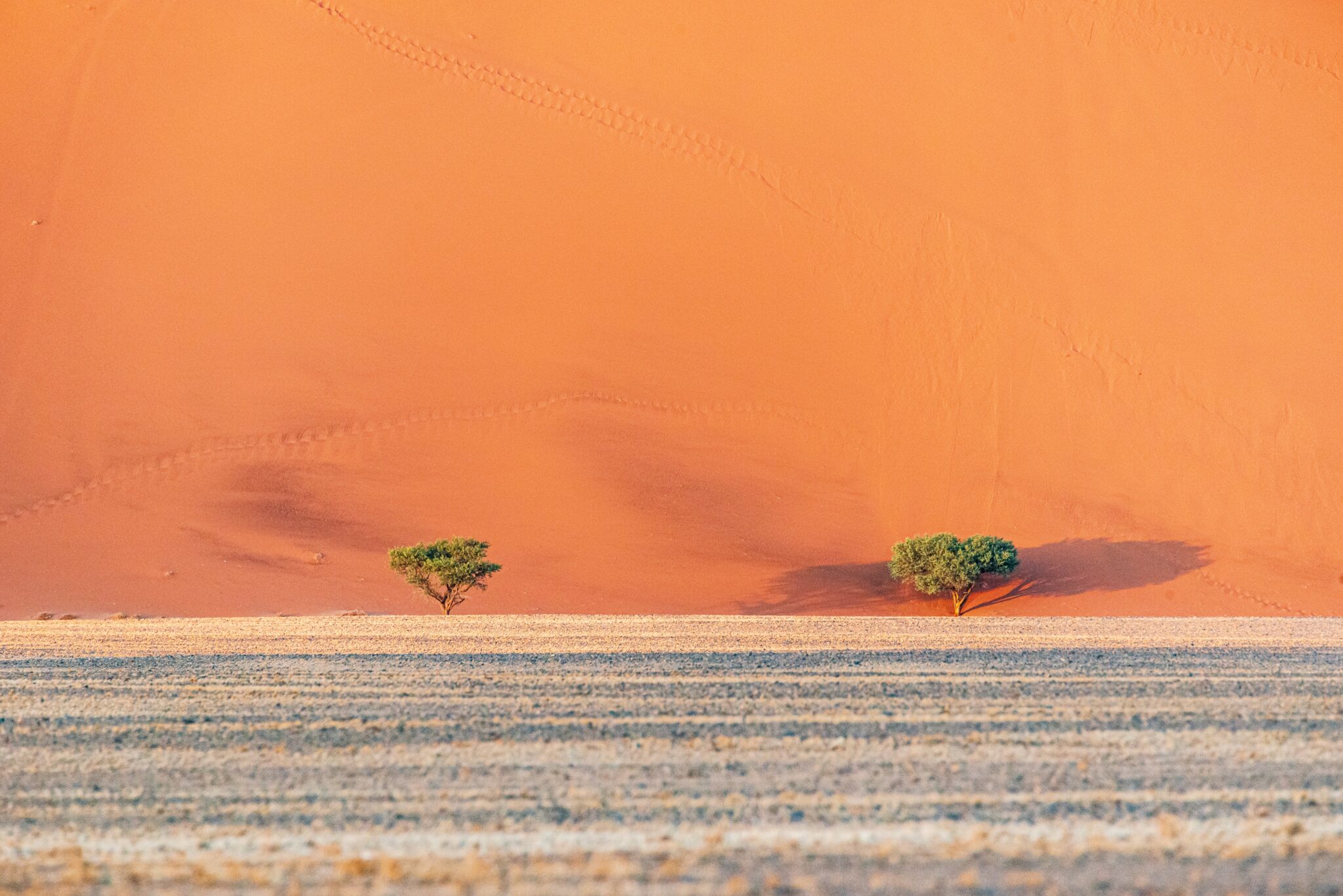 The Sahara Desert: 5 Dynamic Stages of Its Transformation