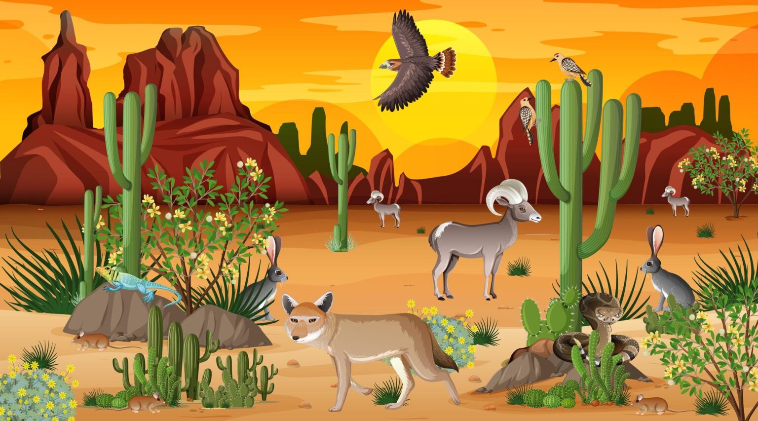 The Sahara Desert: 5 Dynamic Stages of Its Transformation